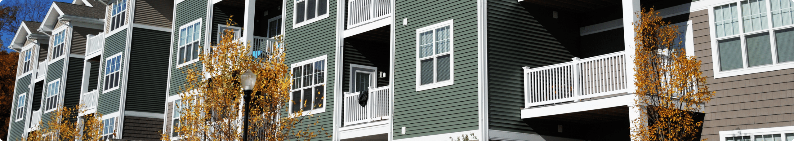 ADA Compliance Statement | Vision Door and Millwork